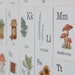 Nature Alphabet Flashcards / Watercolor Alphabet Cards / Homeschool ...