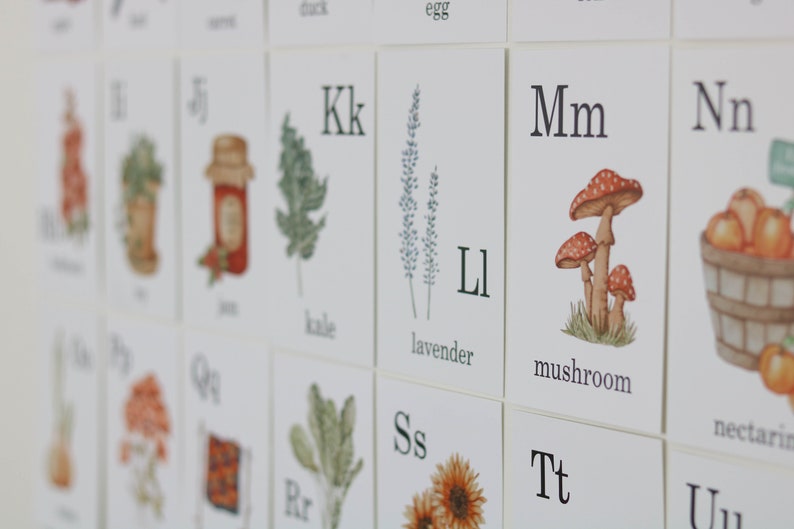 Nature Alphabet Flashcards / Watercolor Alphabet Cards / - Etsy