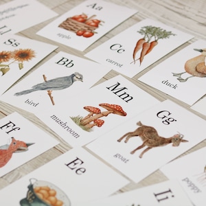 Nature Alphabet Flashcards / Watercolor Alphabet Cards / Homeschool ...