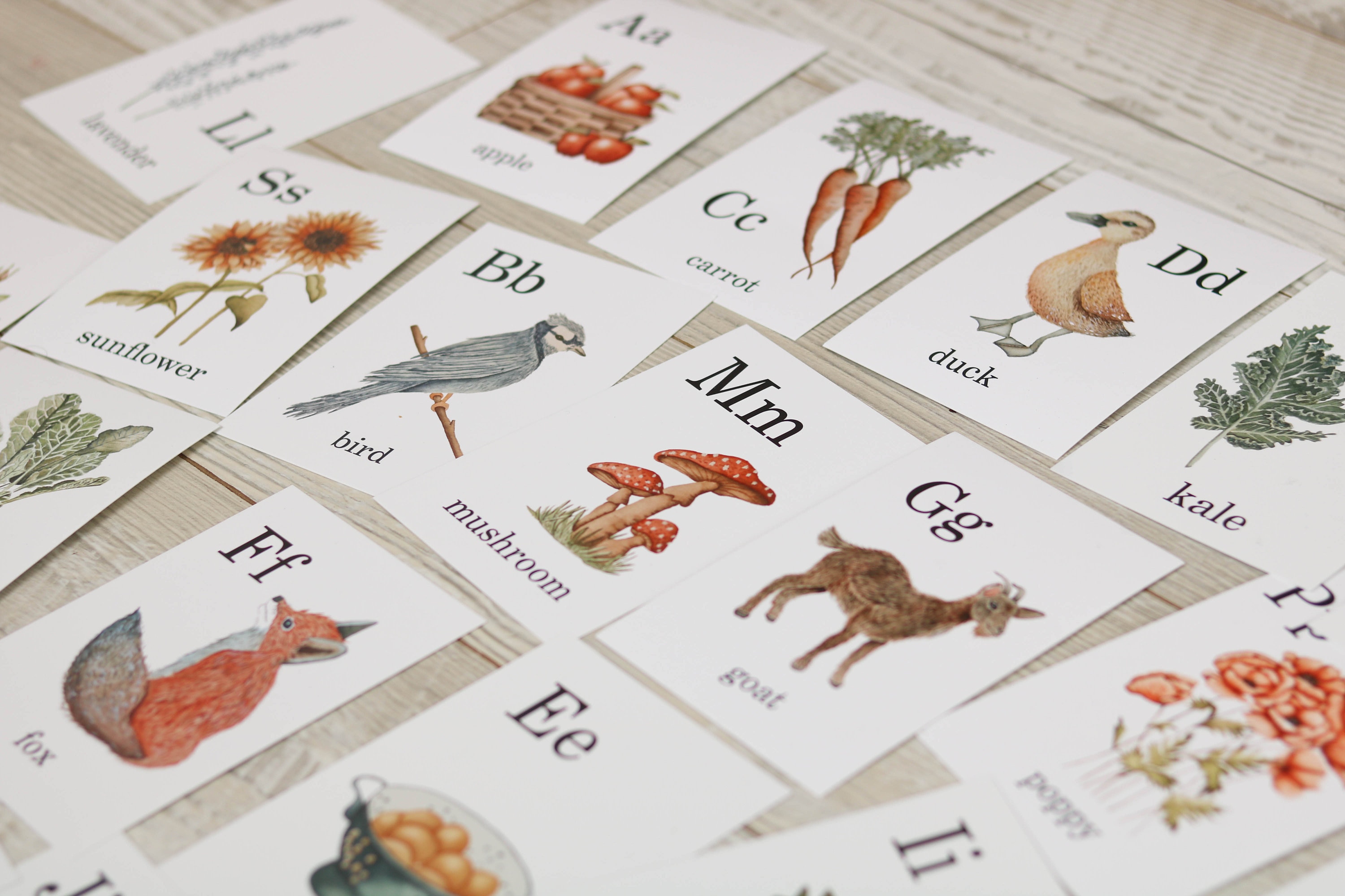 Nature Alphabet Flashcards / Watercolor Alphabet Cards / | Etsy