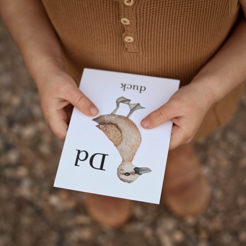 Nature Alphabet Flashcards / Watercolor Alphabet Cards / - Etsy