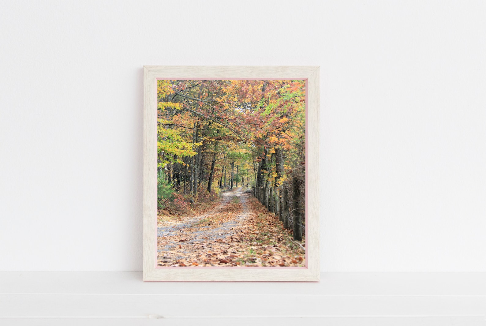 Fall Photography Autumn Foliage Photograph Wall Art Landscape Nature ...
