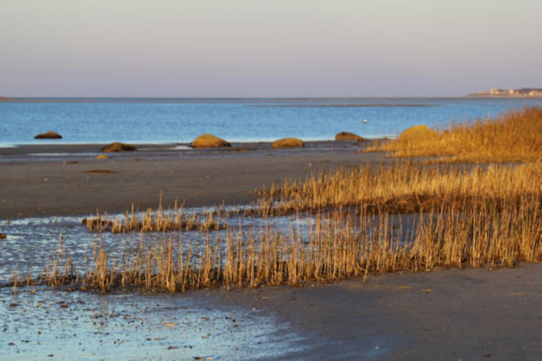 Barnstable Beach Photography Cape Cod Coastal Nature Photograph Art ...