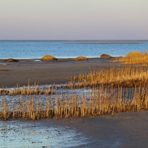 Barnstable Beach Photography Cape Cod Coastal Nature Photograph Art ...