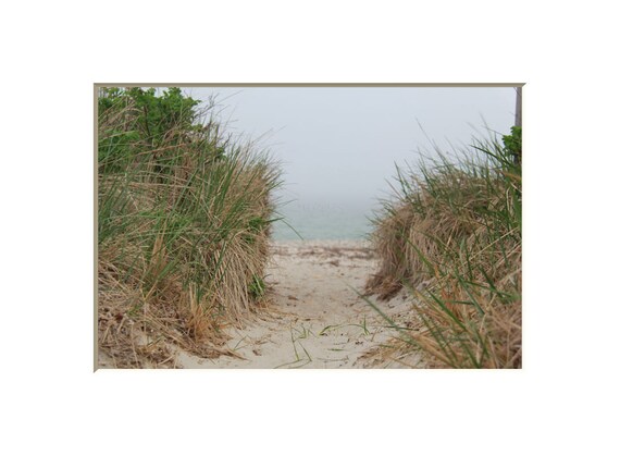 Sandy Beach Path Photography Cape Cod Photograph Sand Dunes | Etsy