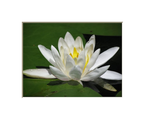 Zen Fotografie Water
