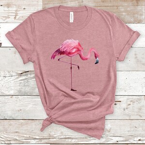Flamingo Shirt, Flamingo Lover, Flamingos, Flamingo Graphic Tee ...