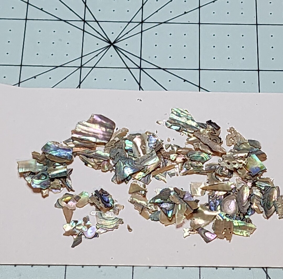 Abalone and Aurora Shell Pieces - Etsy