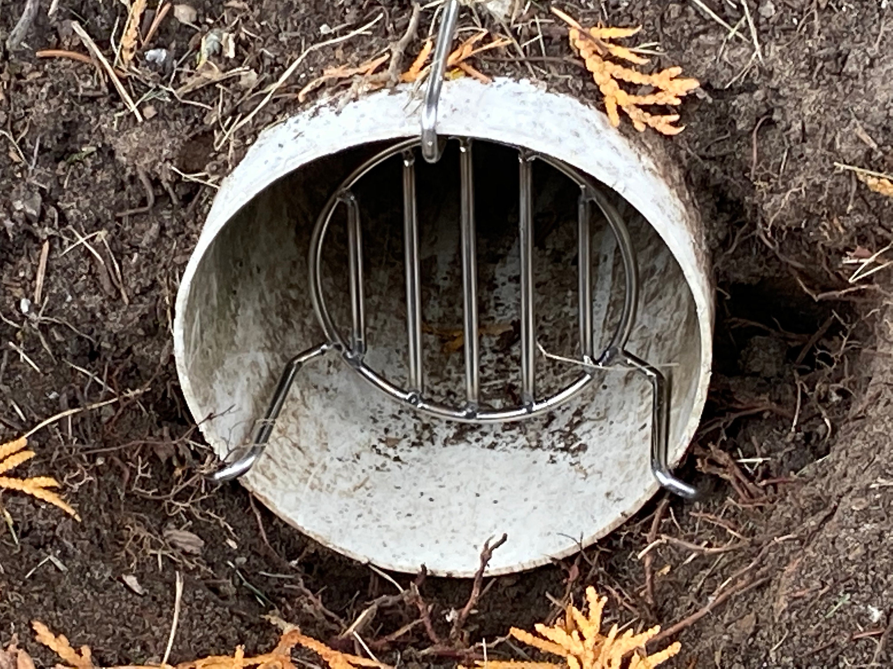 4" Squirrel and Bird Tile Guard,varmint Guard,drain Guard,animal Guard ...