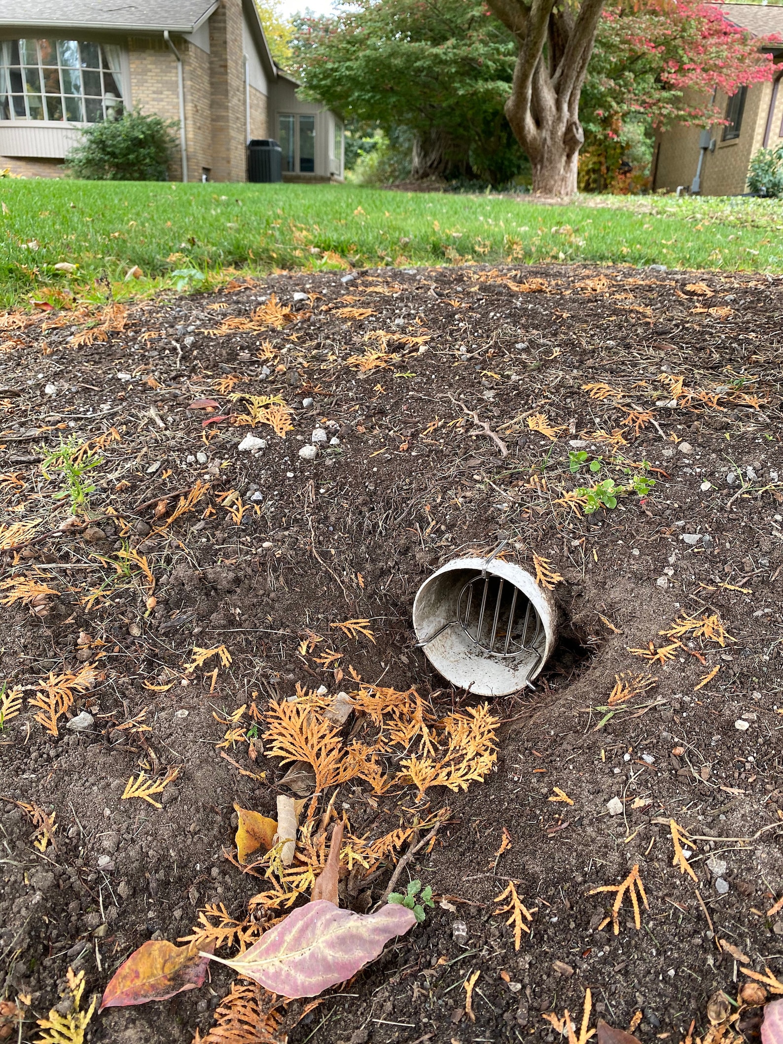 4" Squirrel and Bird Tile Guard,varmint Guard,drain Guard,animal Guard ...