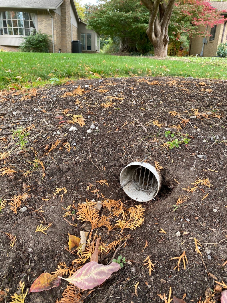 4" Squirrel and Bird Tile Guard,varmint Guard,drain Guard,animal Guard ...