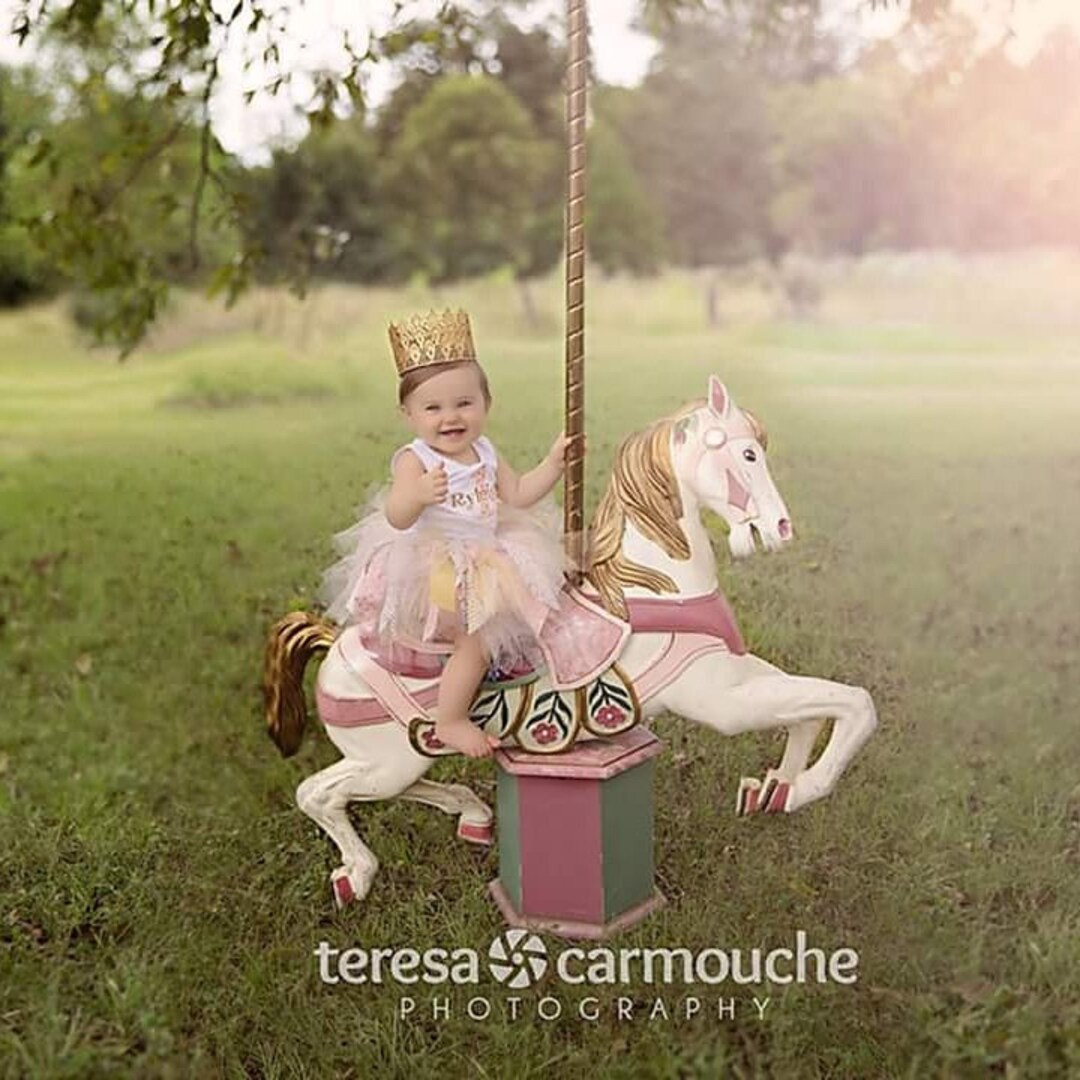 The Carousel First Birthday Princess Crown Gold Crown Princess Crown ...