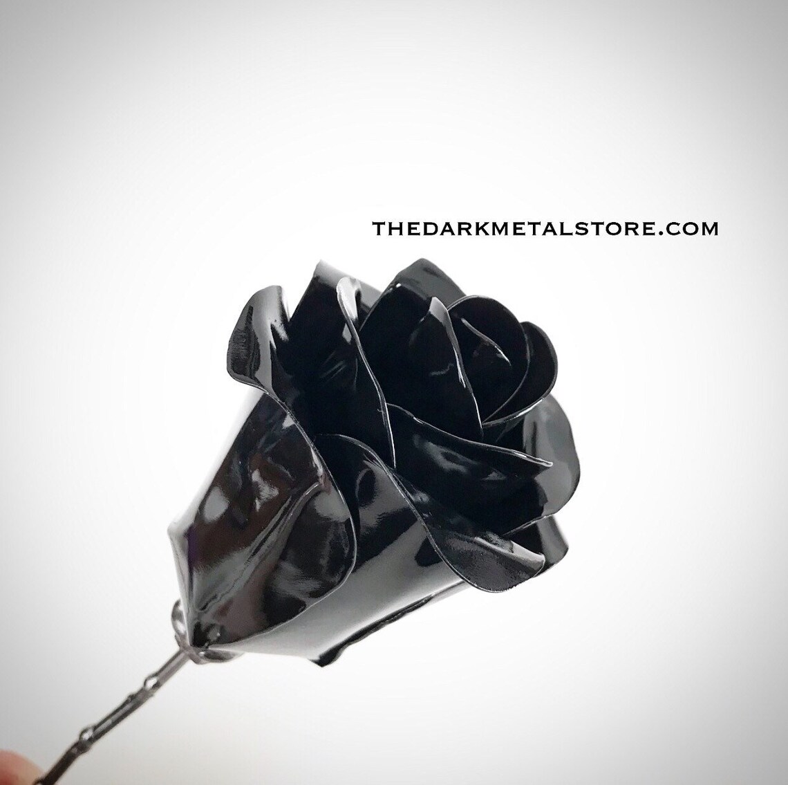 Black Eternity Rose (single Rose) - Etsy