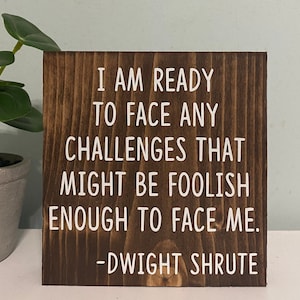 I Am Ready to Face Any Challenges That Might Be Foolish Enough to Face ...
