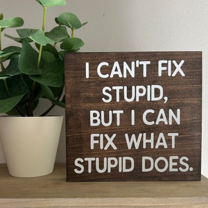 I Can’t Fix Stupid, but I Can Fix What Sign - Funny Desk Quotes ...