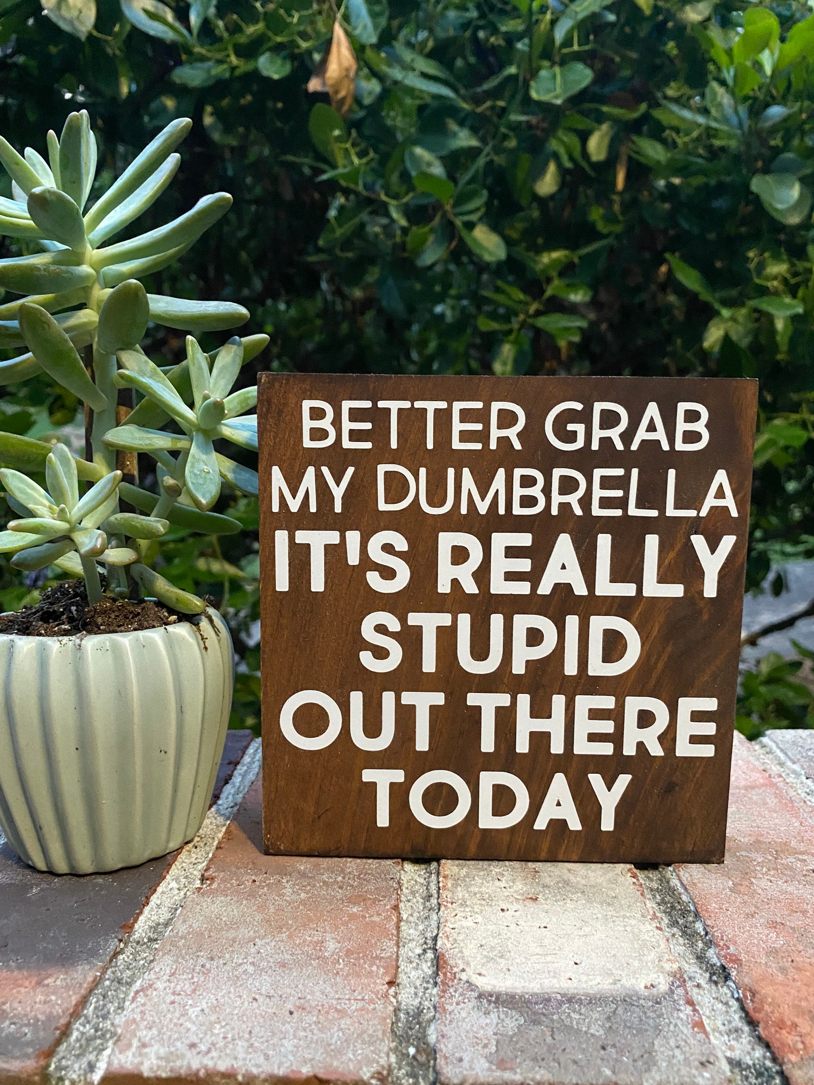 Better grab my dumbrella its really stupid out there today | Etsy