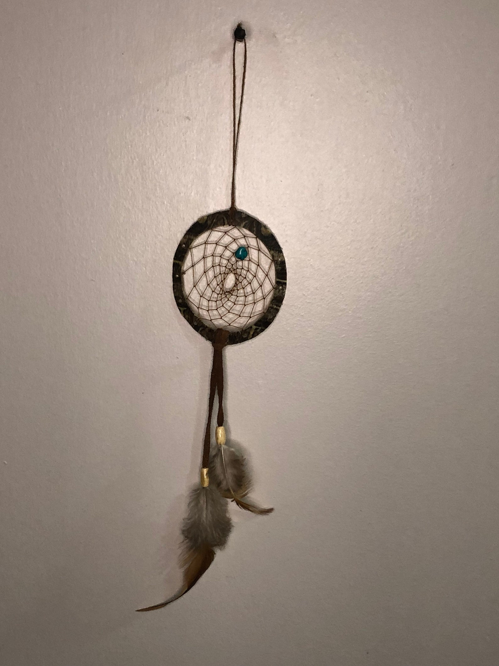 Turtle Shell Dream Catcher - Etsy