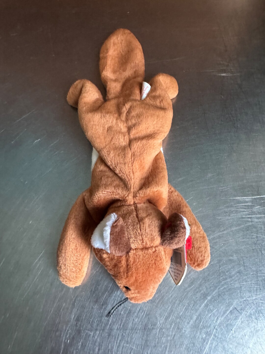 TY Beanie Original Babies Collection Baby Squirrel Sly 11 in Long - Etsy