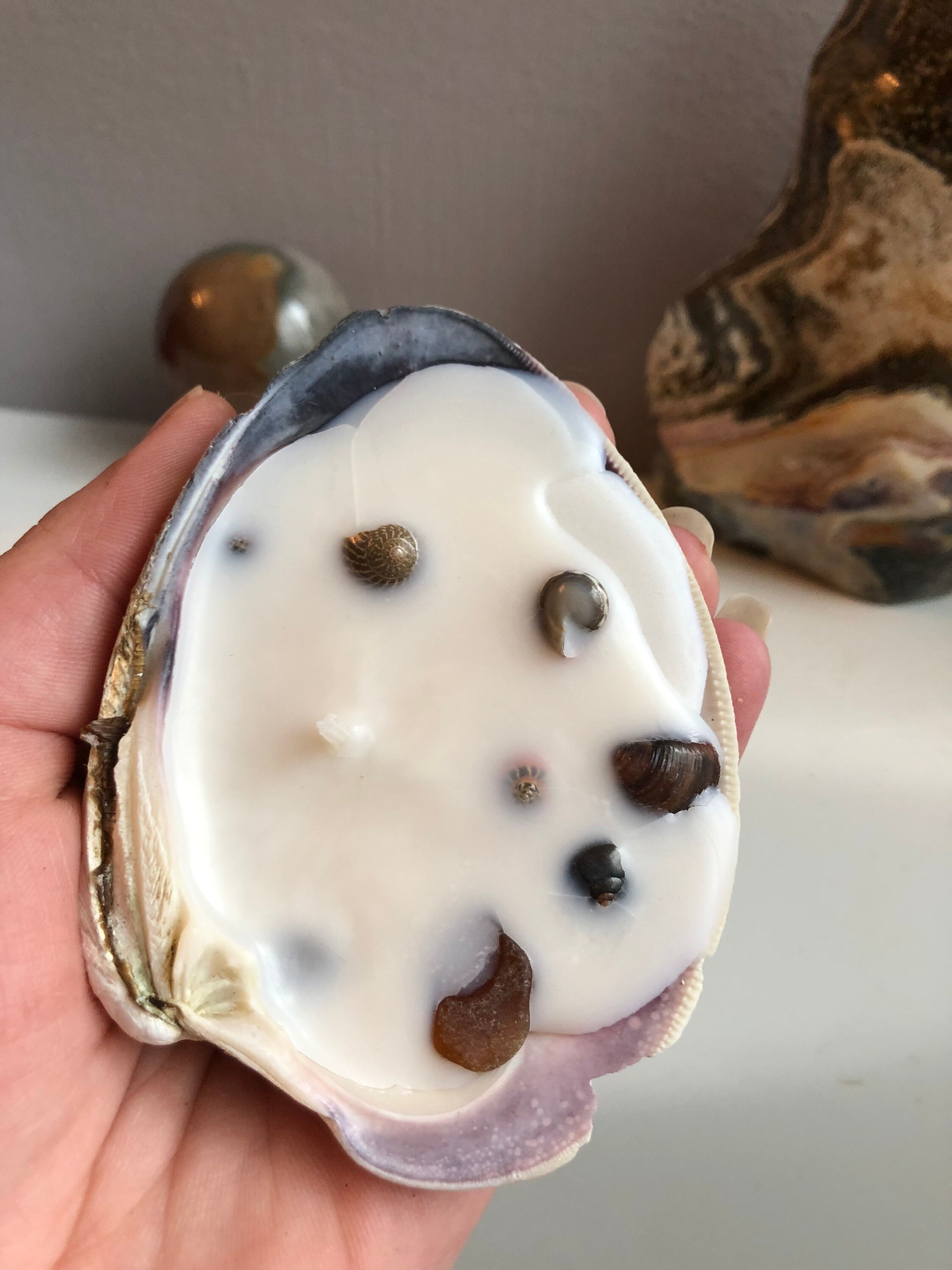 Handmade clamshell tea light candle w/ Authentic Hamptons long island ...