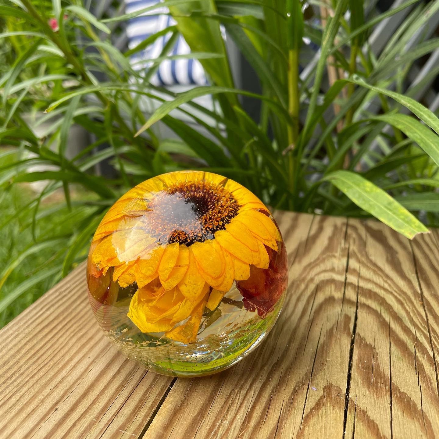 8cm Sphere Flower Preservation Wedding Funeral Keepsake - Etsy UK