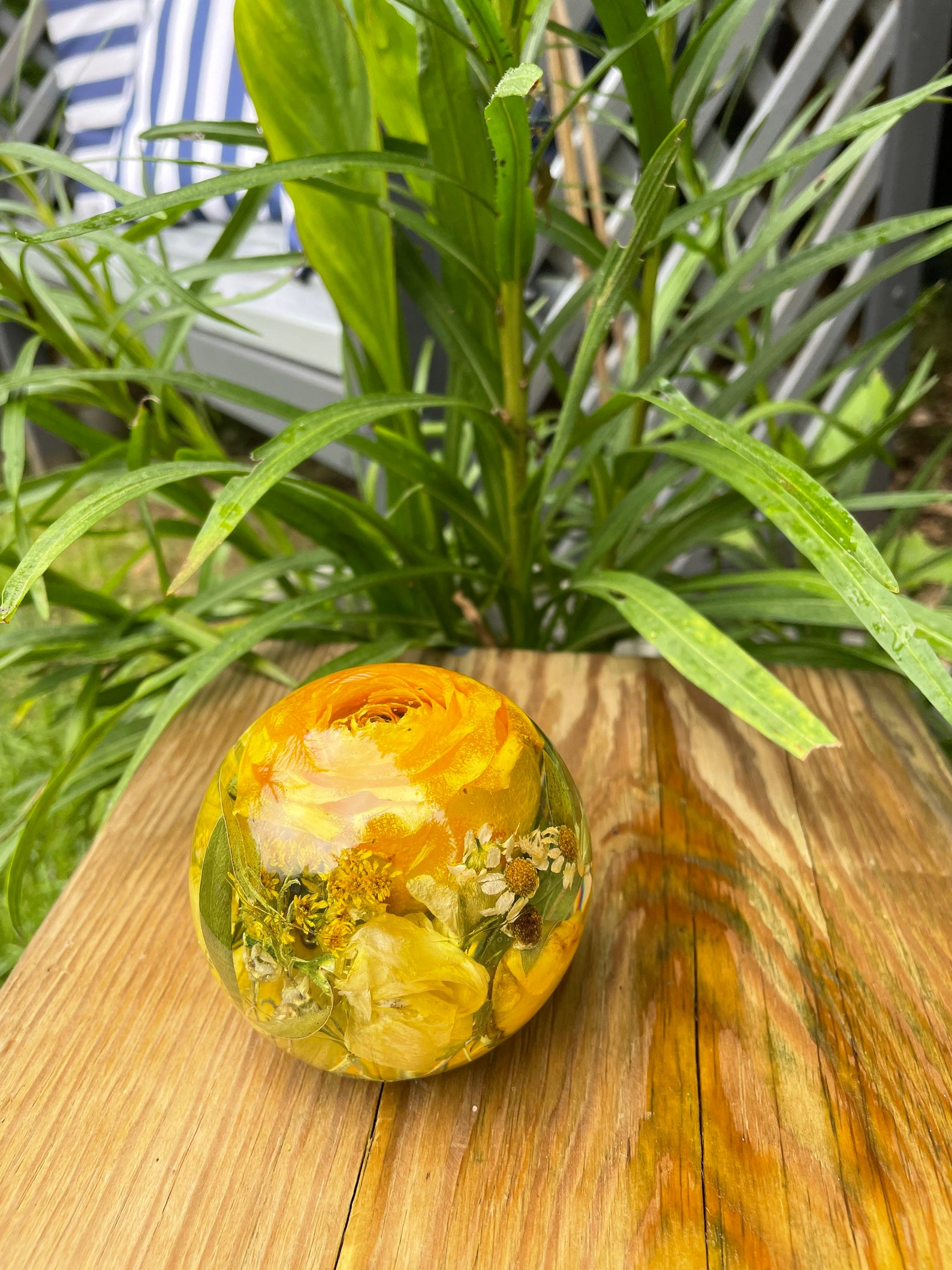 8cm Sphere Flower Preservation Wedding Funeral Keepsake | Etsy