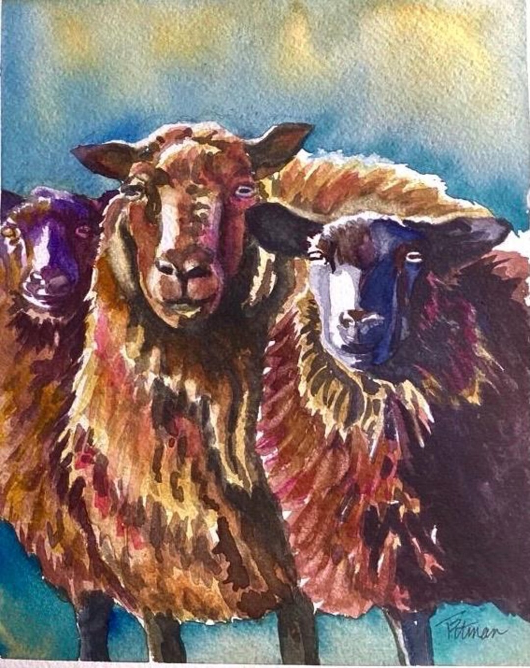Sheep ORIGINAL Watercolor Painting by Tracy Pitman, Birds Wild Life ...