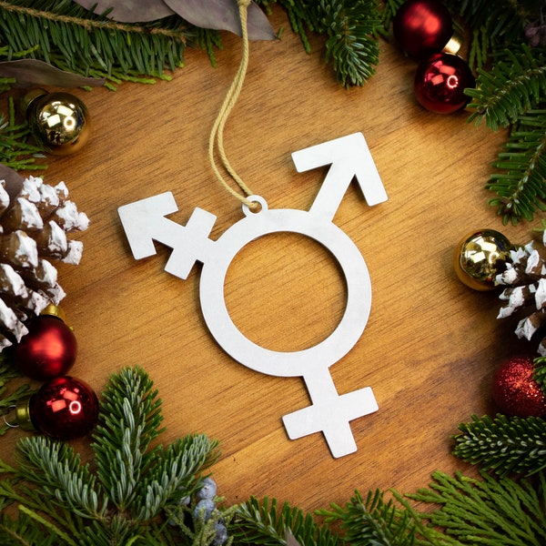 Transgender Christmas Ornaments - Etsy