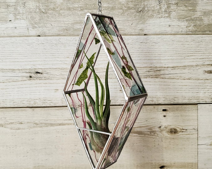 Glass Air Plant Dangler Handmade Stained Glass Plant Holder READY TO ...