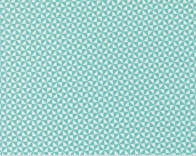 Delightfully Yours Pinwheel Poolside Yardage 37704-18 by Sherri and ...