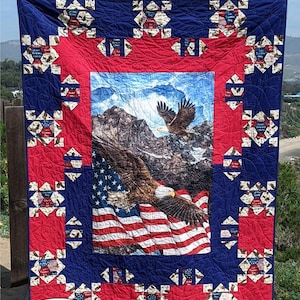Panel Pizzazz Quilt Pattern by Joanne Hillestad for Swirly Girls Design ...