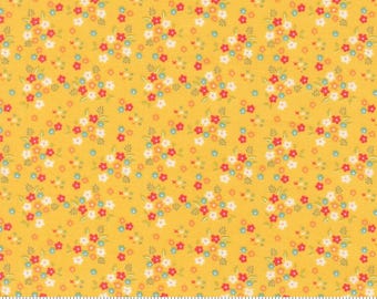 Delightfully Yours Pinwheel Poolside Yardage 37704-18 by Sherri and ...
