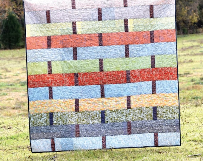 Pandemonium Quilt Pattern Card for Villa Rosa Designs Finished Size 48 ...