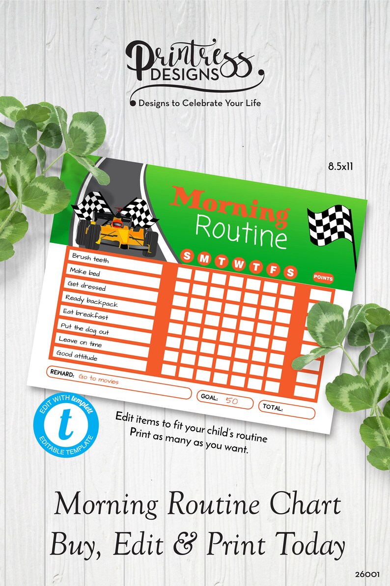 Race Car Children's Daily Routine Charts Morning Routine | Etsy