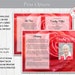 Coral Red Rose Funeral Program Template, Obituary/order of Service ...