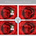 Red Rose Funeral Program Template, Obituary/order of Service Template ...