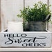 Hello Sweet Cheeks Bathroom Toilet Storage Box Toilet - Etsy
