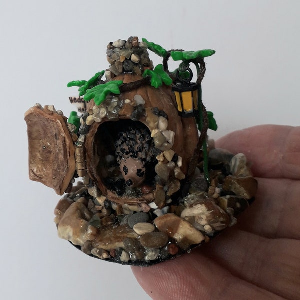Walnut Shell Diorama - Etsy