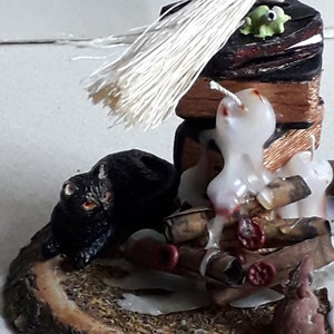 Miniature, Crow Display, Diorama,witch, Broomstick,leather Books,scull ...