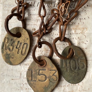 Antique Brass Cow Tag With Chain, Circa 1930s - Etsy