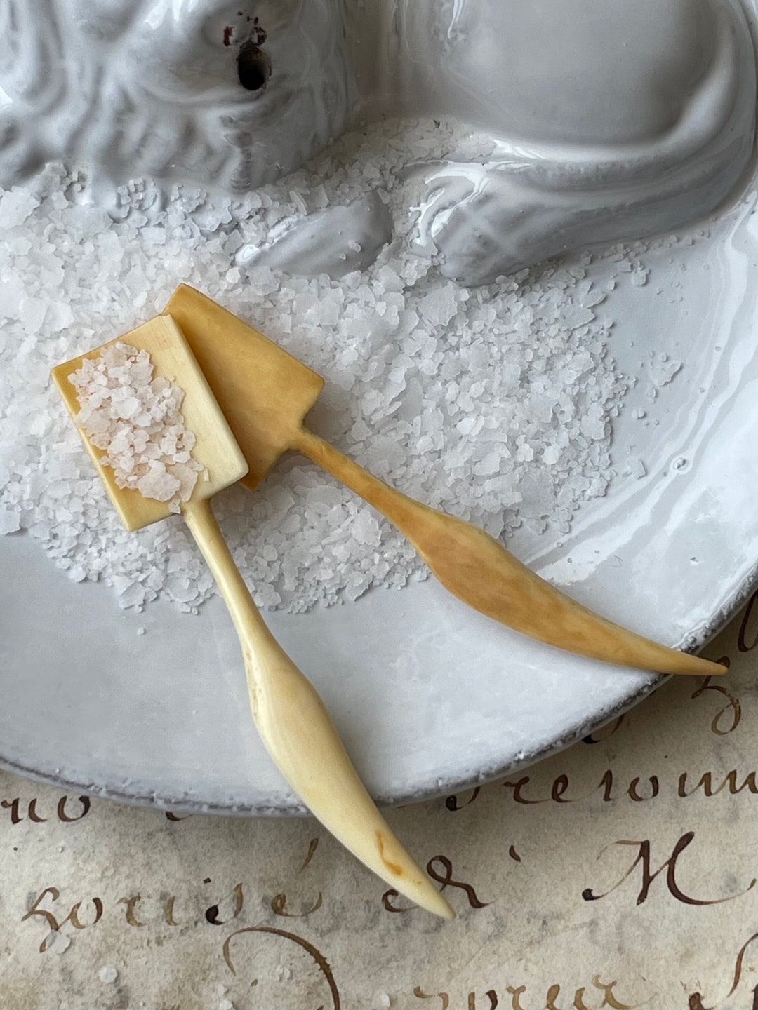 Pair 1800s Antique French Ox Bone Hand-carved Salt Spoons, 19th Century ...