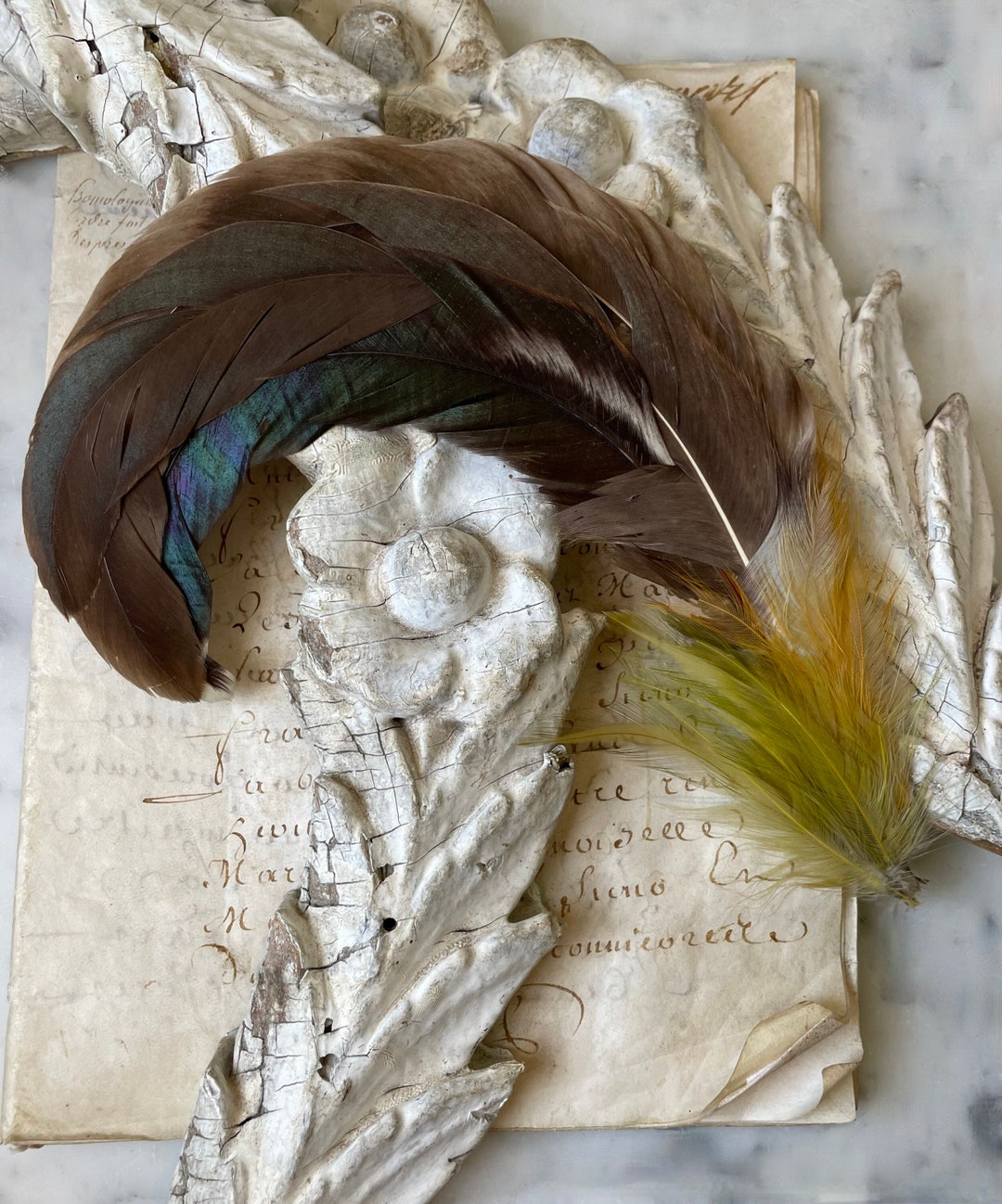Antique French Hat Feather, Circa 1930s - Etsy