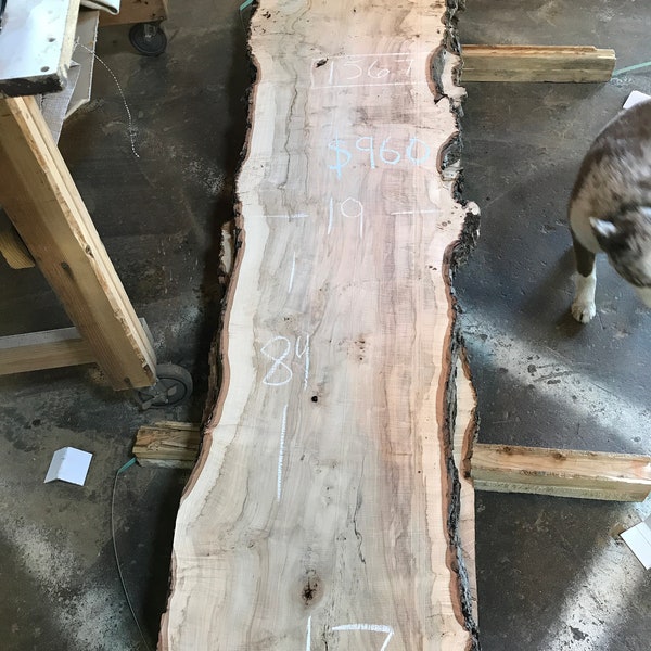 Live Edge Silver Maple Slab - Etsy