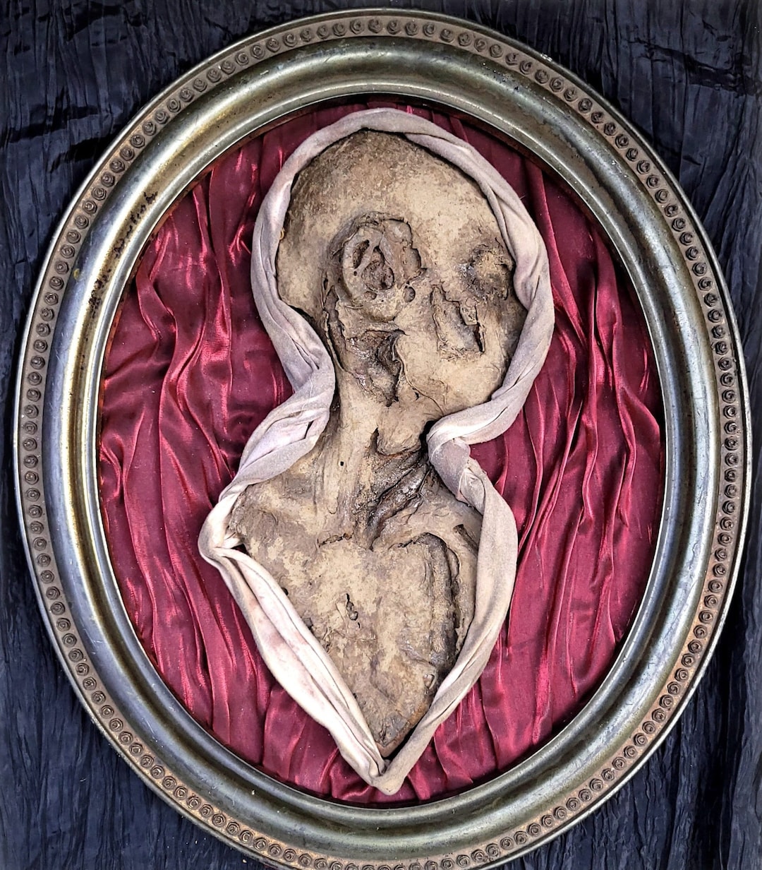 Anatomical Display, Reproduction of a Mummified Child.oddity,macabre ...
