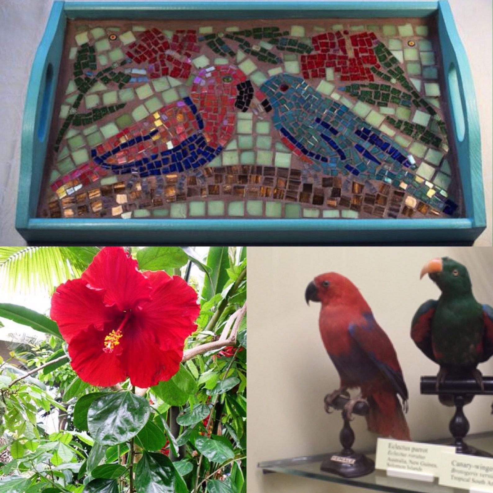 Parrots Mosaic Tray - Etsy