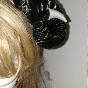 Small Curled Jester Style Horns - Etsy