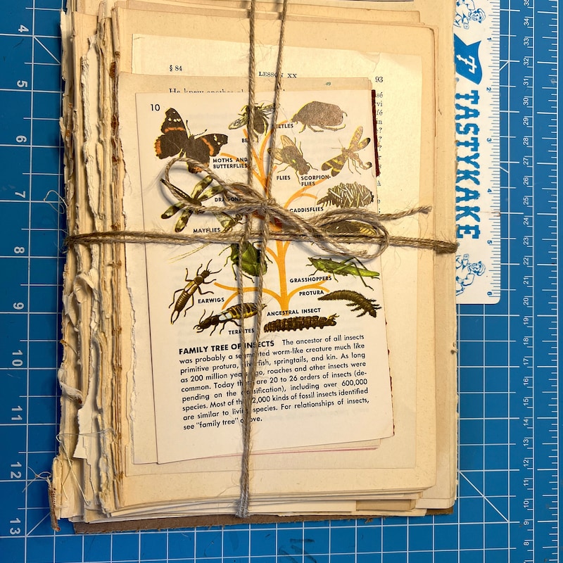 Dictionary Drawing - Etsy