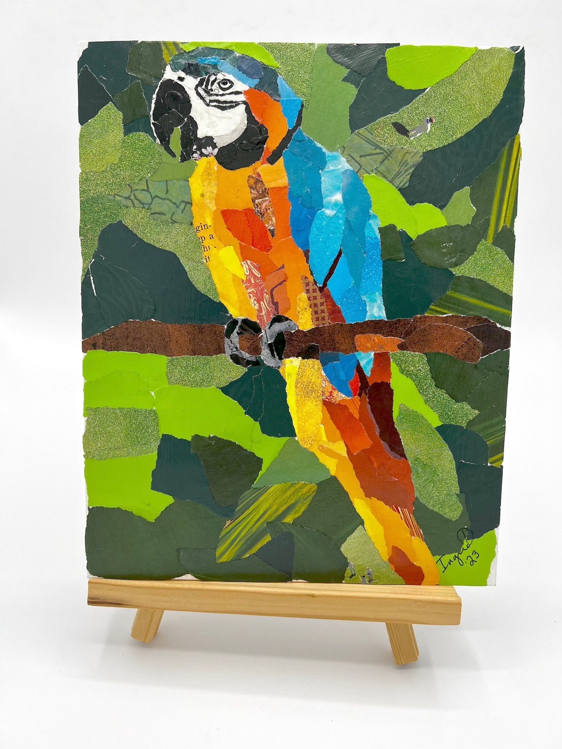 Macaw/parrot- Torn Paper Collage - Perfect Gift for Bird Lover, Book ...