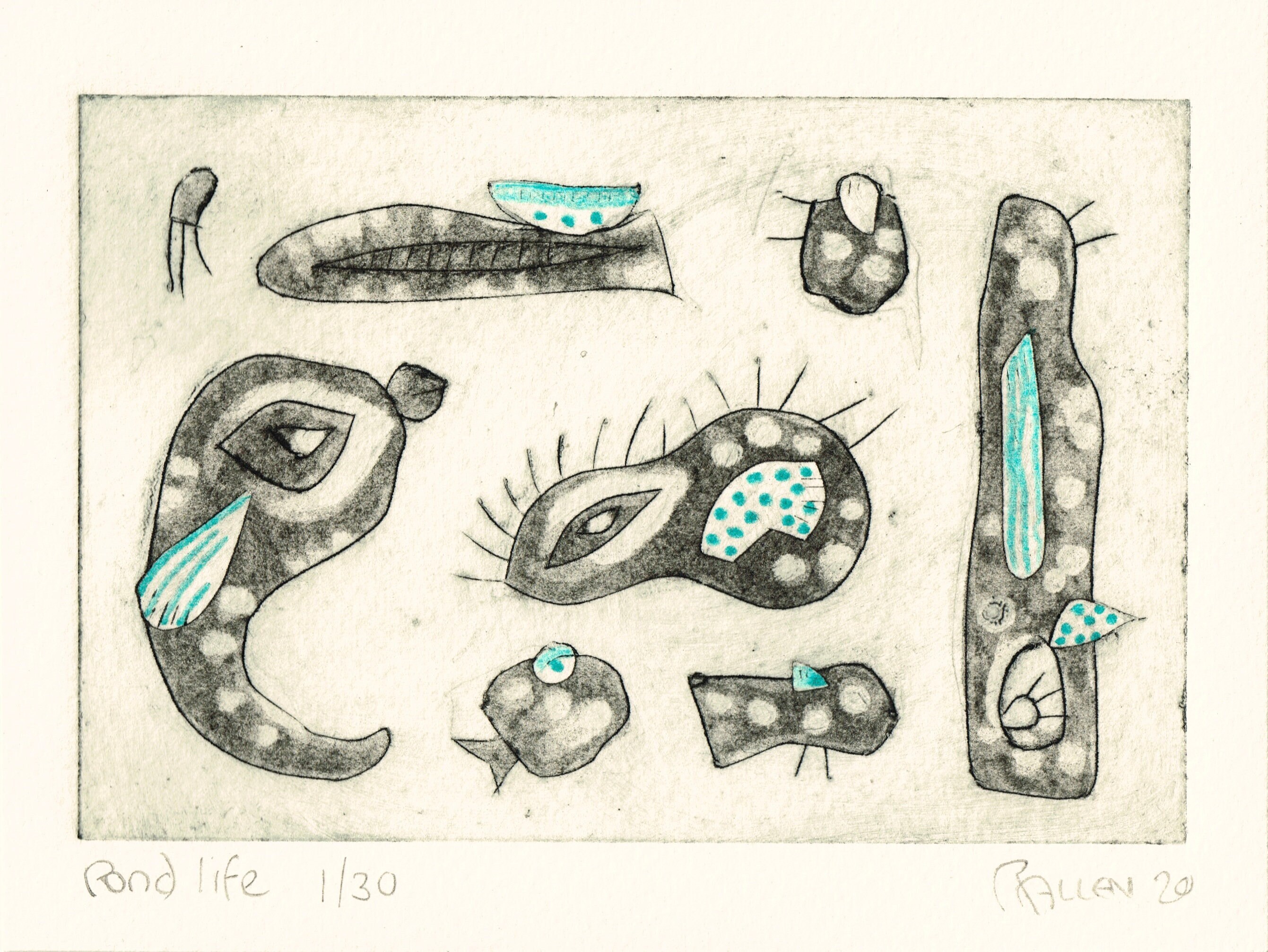 Dry Point Etching Collagraph Collograph Print Picture ' Pond Life ...