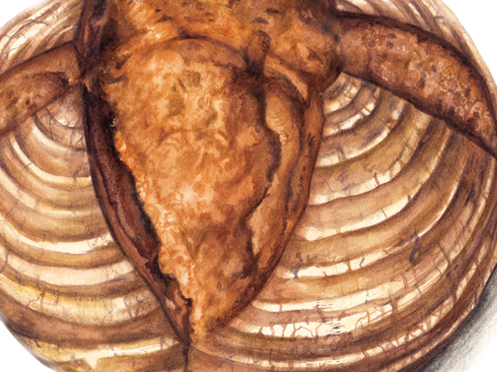 Bread Artwork Print - Kitchen Watercolour Food Illustration - Perfect ...