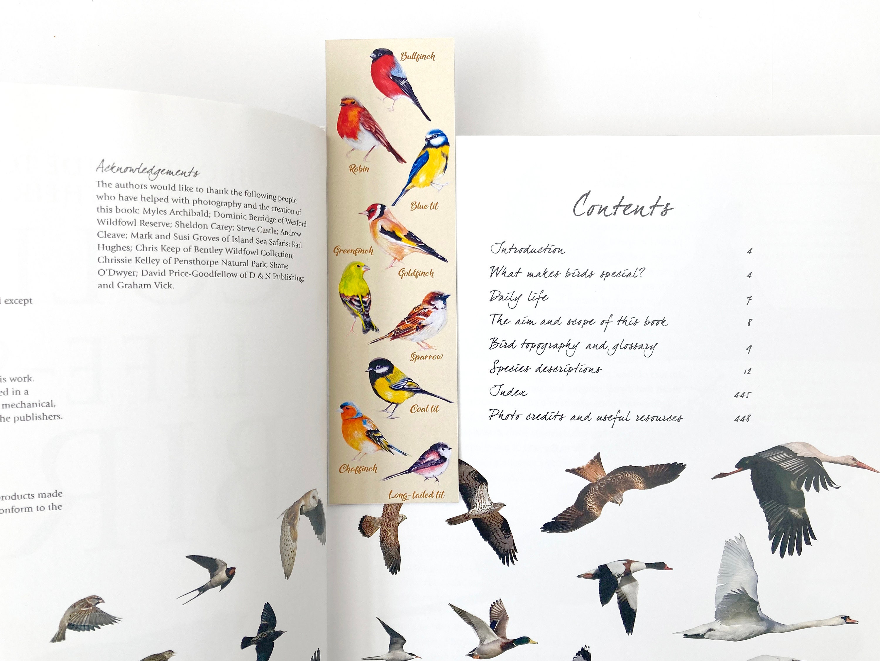 Printable Watercolor Bird Spotting Bookmarks Set of 4 - Etsy